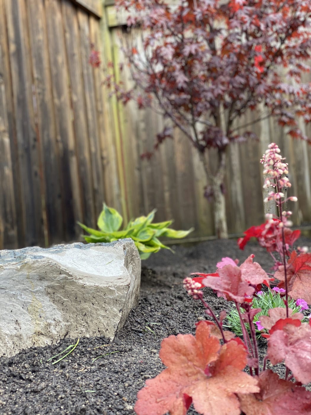 Softscaping - Executive Design & Build